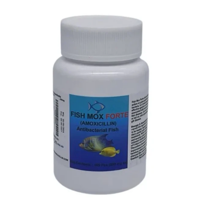 Fish Mox 500mg - 100 count – Happy Minutes Easy Shopping